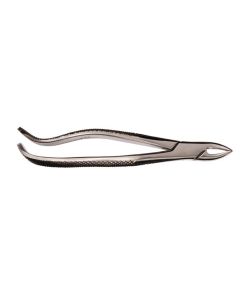 Forceps - Surgery & Implantology - Products