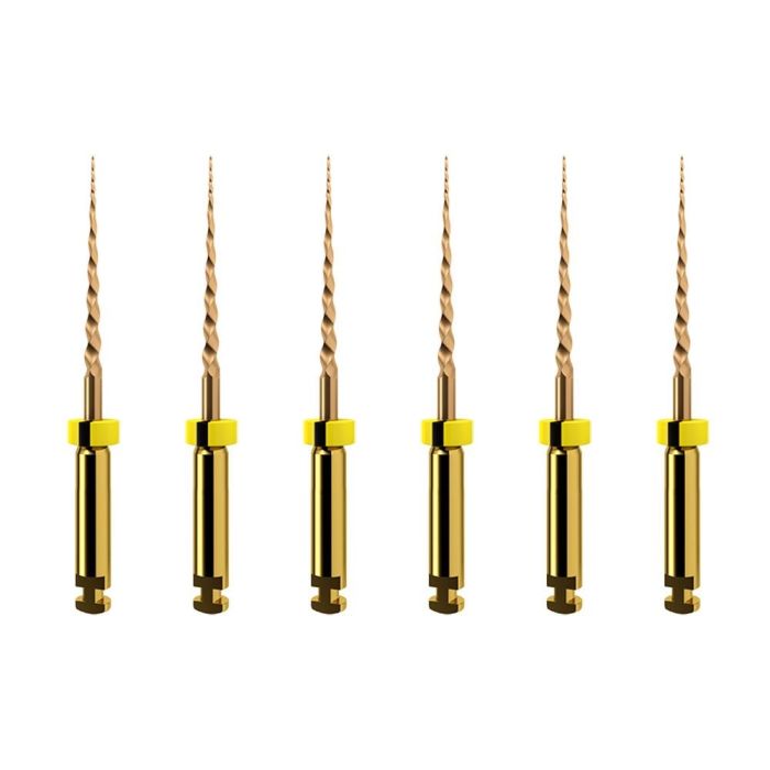 ProTaper GOLD: SX 19mm (6)